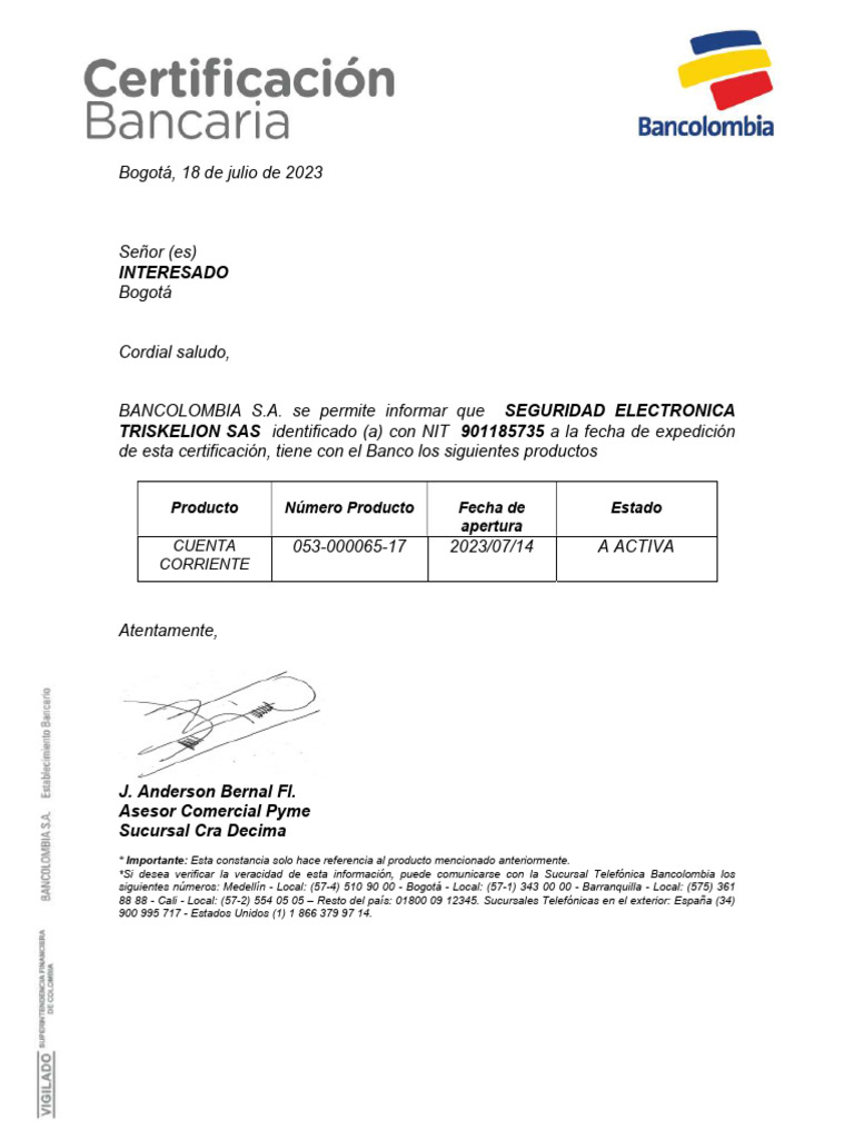Seguridad Electronica Triskelion Certificacion Cta Cte | PDF