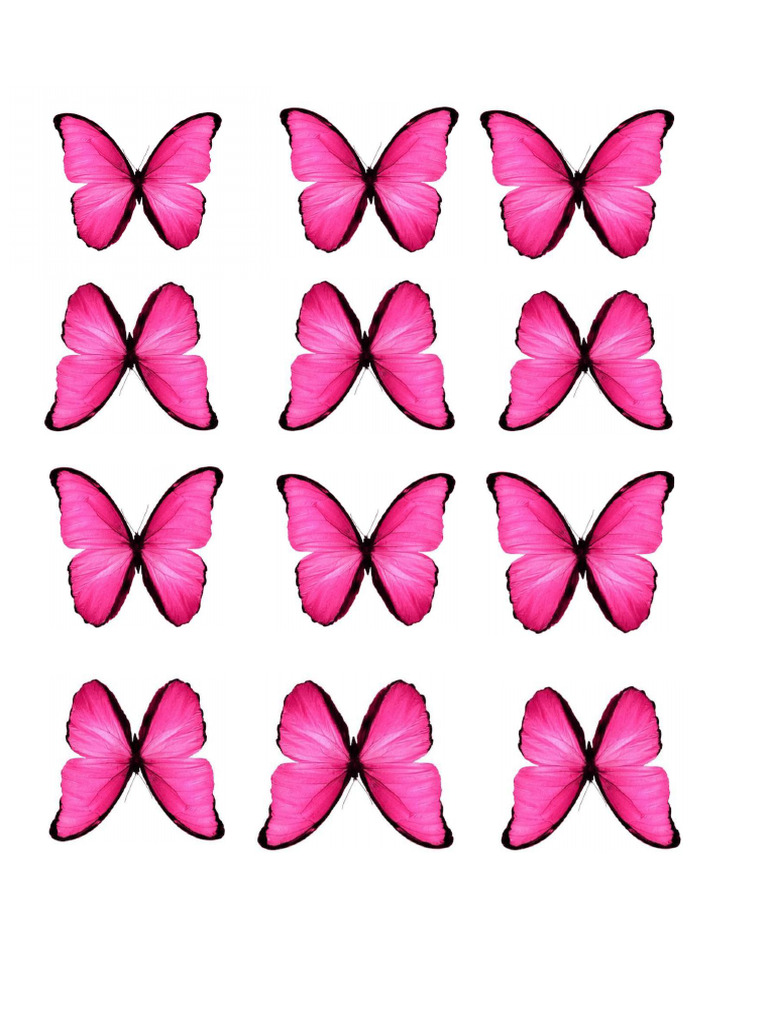 mariposas _240601_204056 | PDF