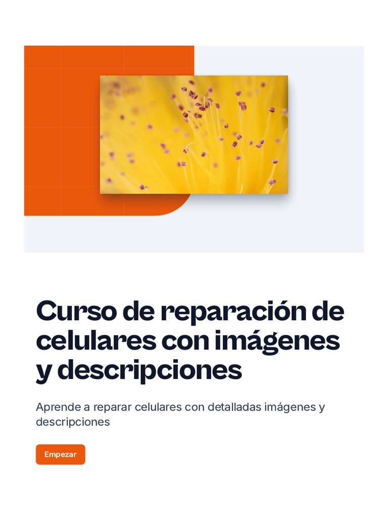 Curso de Reparación de Celulares: Guía Visual | PDF | Unidad Central de ...