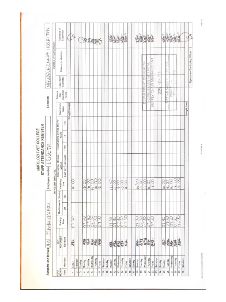 November 2024 Timesheet 2 | PDF