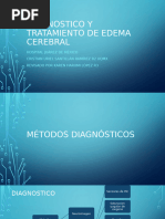 GHOST-CAP en Cuidados Neurocríticos | PDF | Hipertensión | Presión ...