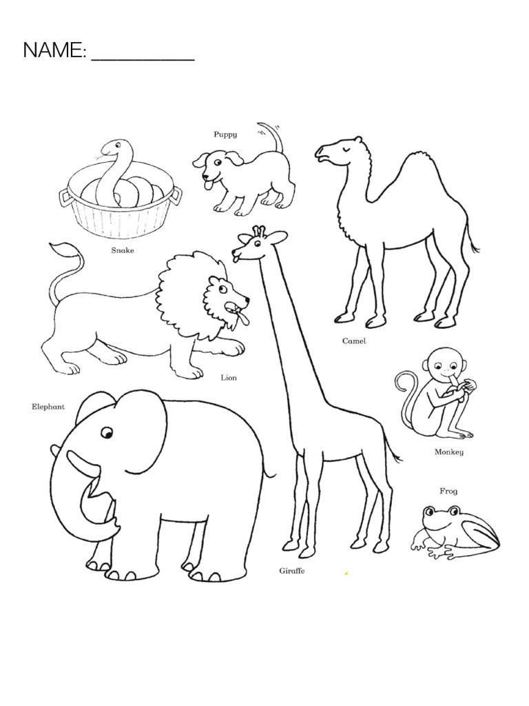 Dear Zoo I4 | PDF