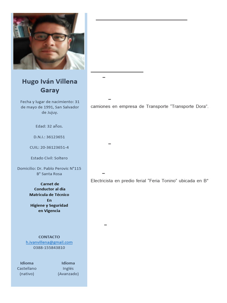 Currículum Vitae Villena Garay Hugo | PDF