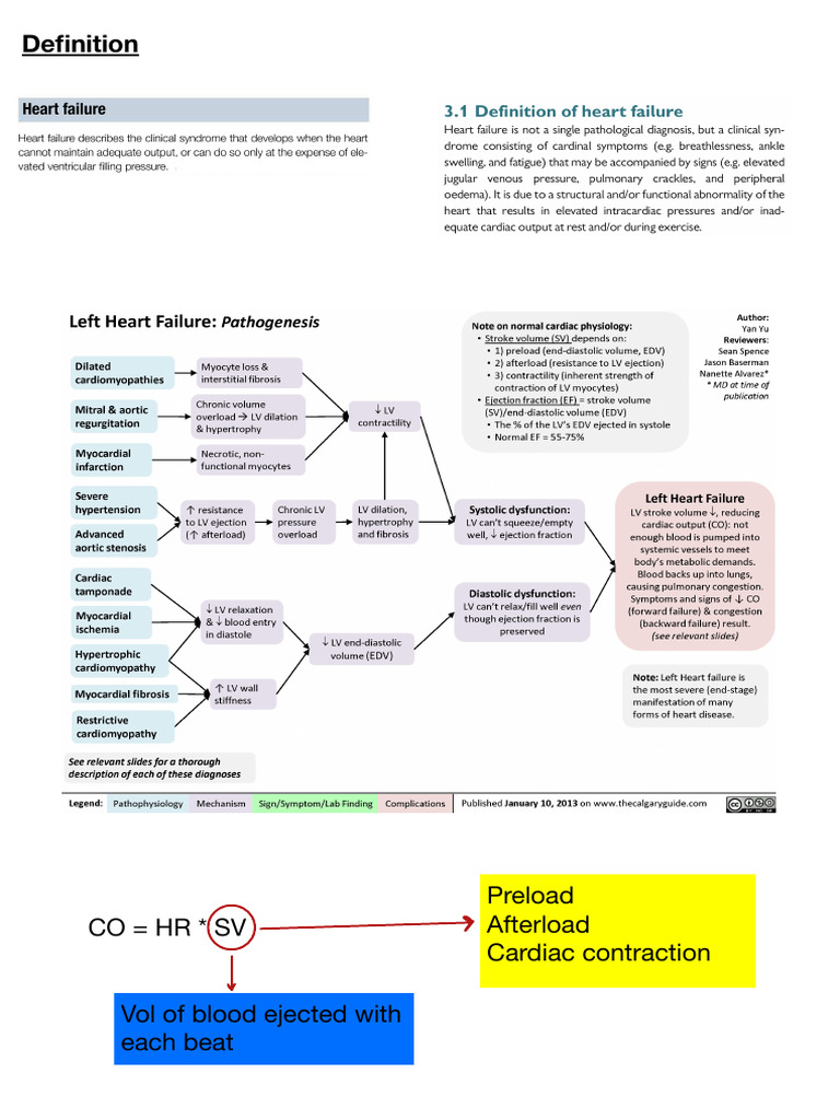Other: Preload Afterload Cardiac Contraction Co HR SV | PDF
