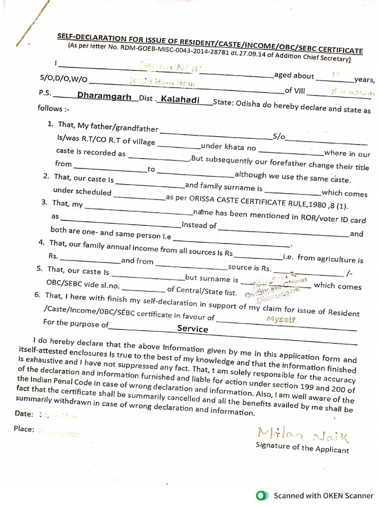 Self Declaration | PDF