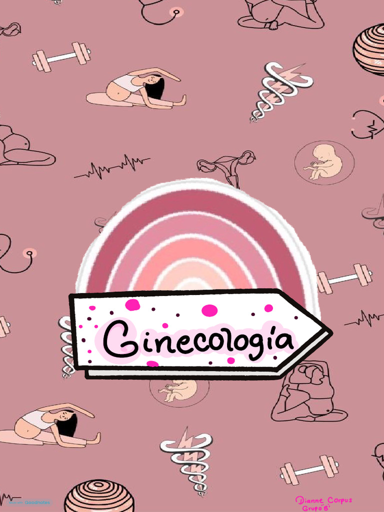 Anatomía de los Genitales Femeninos | PDF | Labios | Vagina