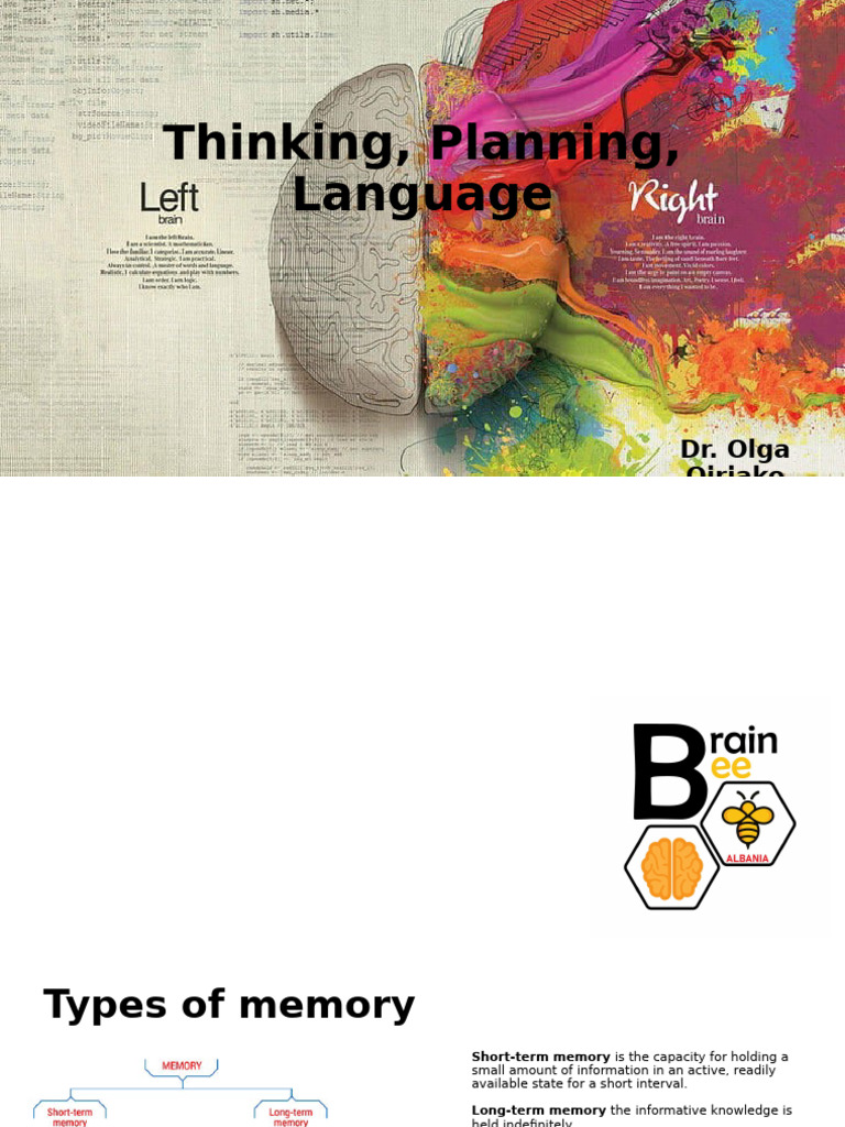 Understanding Memory and Brain Functions | PDF | Prefrontal Cortex ...