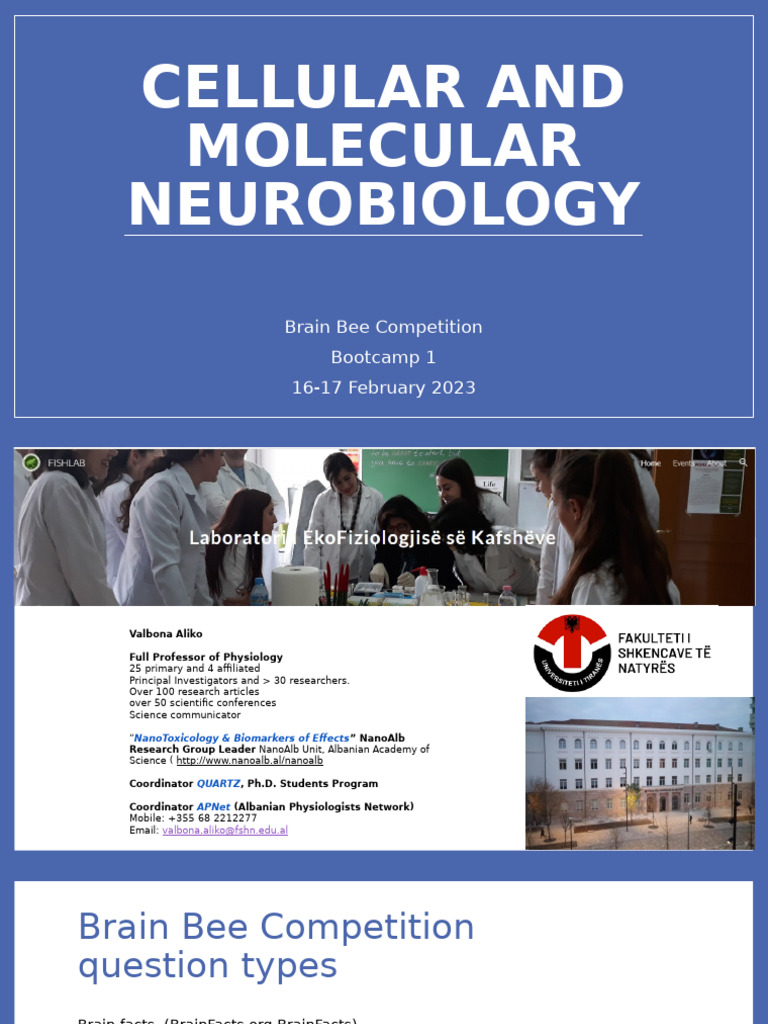 Neurobiology Insights for Brain Bee | PDF | Synapse | Neurotransmitter