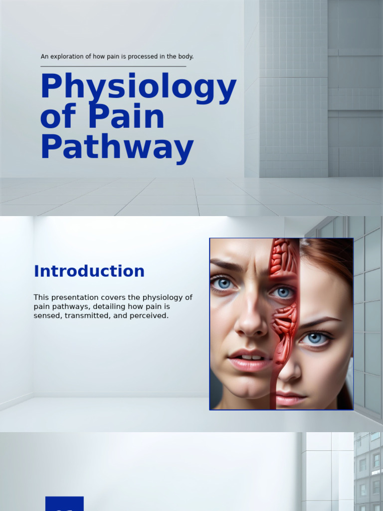 Understanding Pain Pathways Physiology | PDF | Pain | Cognitive Science