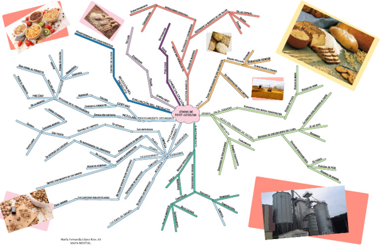 Mapa Mental. Tarea 2. - Color | PDF