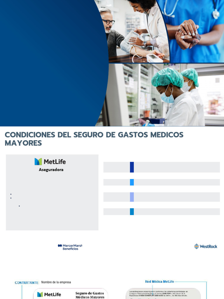 Guia de GMM virtual 010724 | PDF