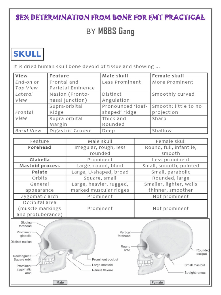 Sex Determination from Skull and Mandible | PDF | Skull ...