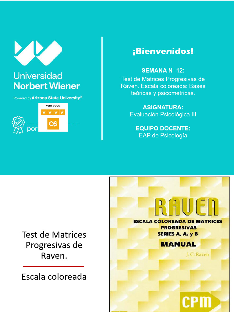 12. RAVEN Coloreada UW | PDF