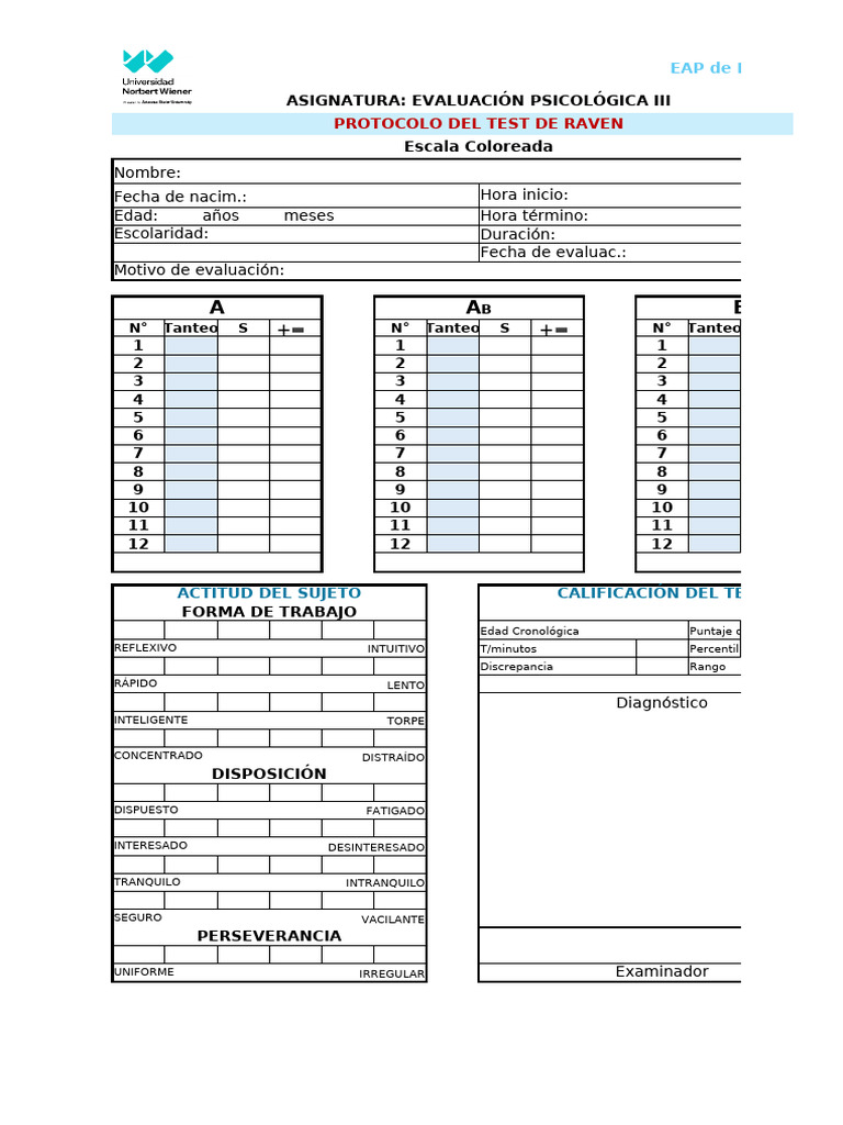 RAVEN ESCALA COLOREADA Protocolo y Plantilla | PDF | Sicología