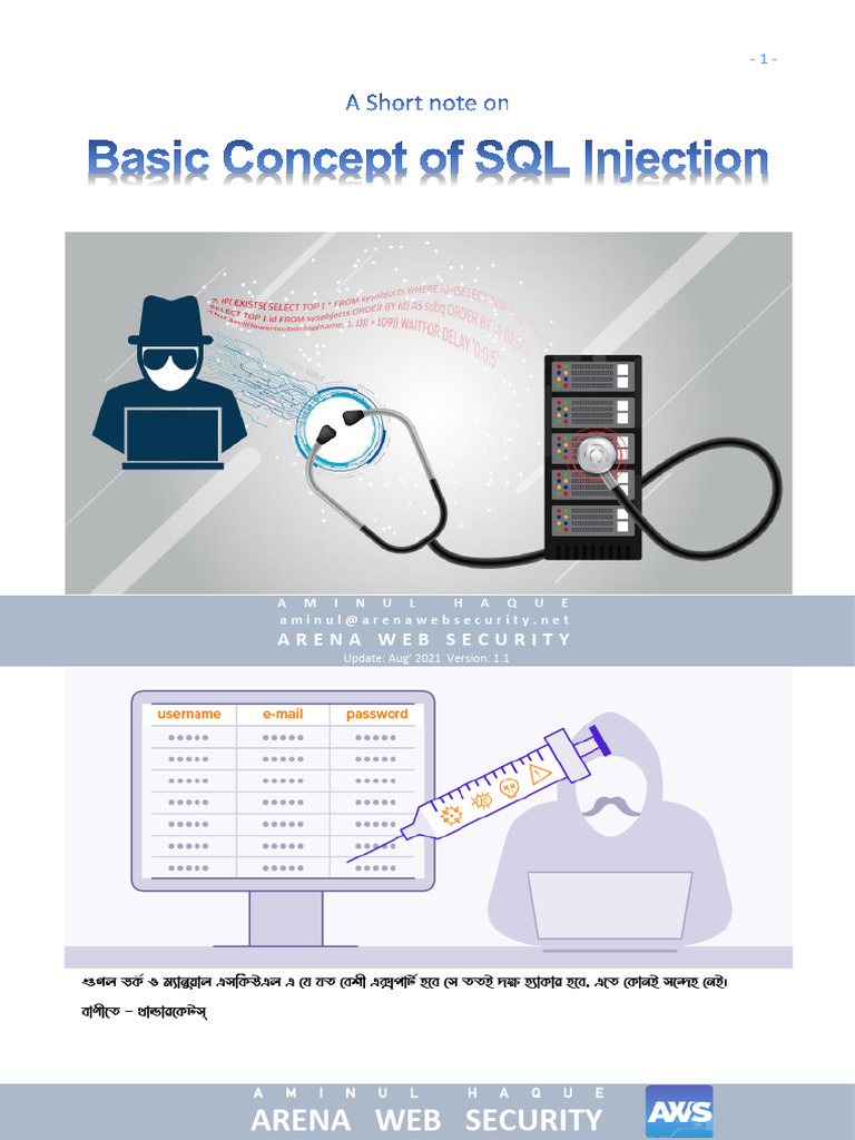 SQL Injection Ebook | PDF