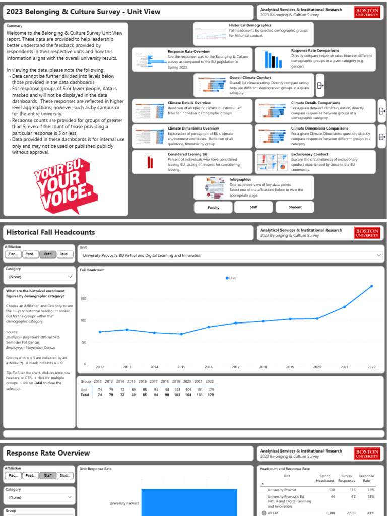 2023 BU Belonging & Culture Survey Insights | PDF | Demography | Social ...