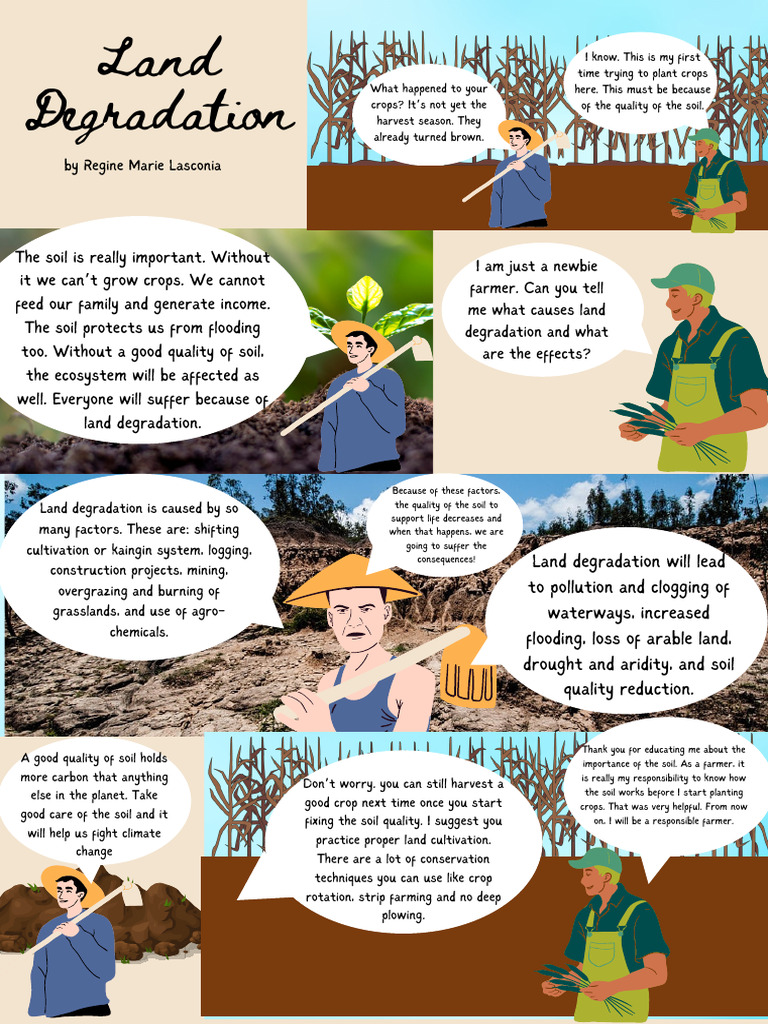 Causes and Effects of Land Degradation | PDF | Agriculture | Soil