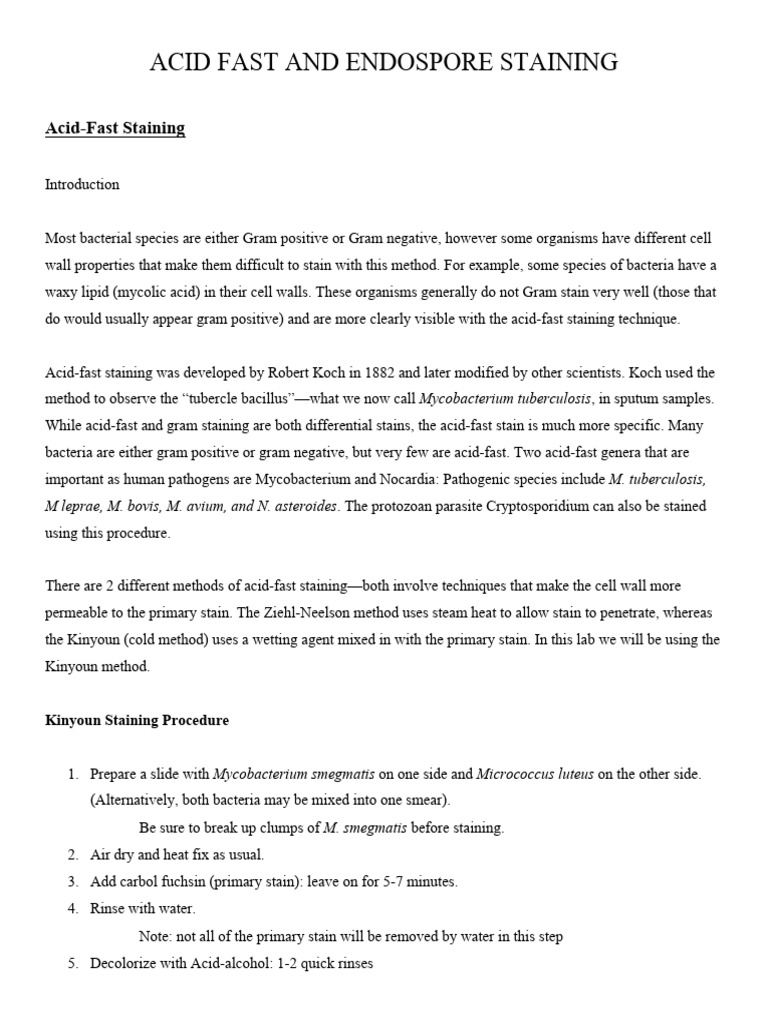 Acid Fast and Endospore Staining | PDF | Staining | Microbiology