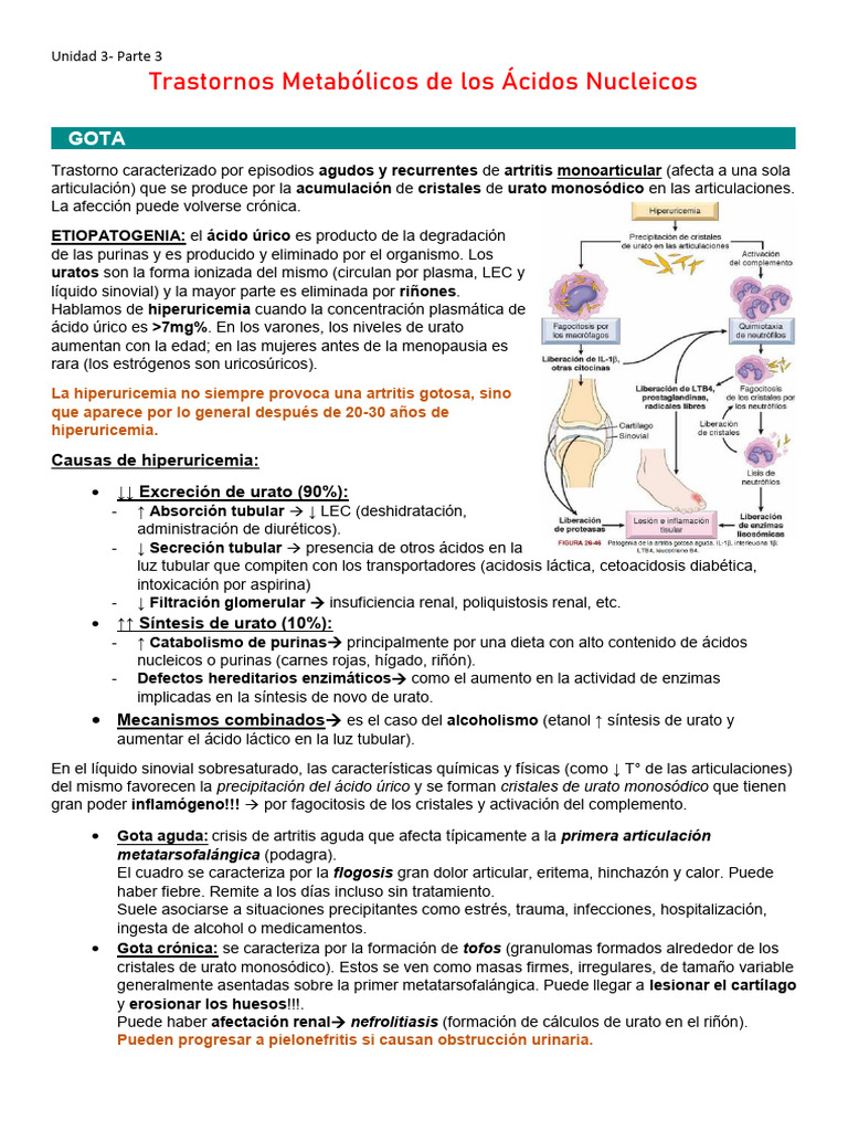 Trastornos Metabólicos de Los Ácidos Nucleicos: Causas de Hiperuricemia ...