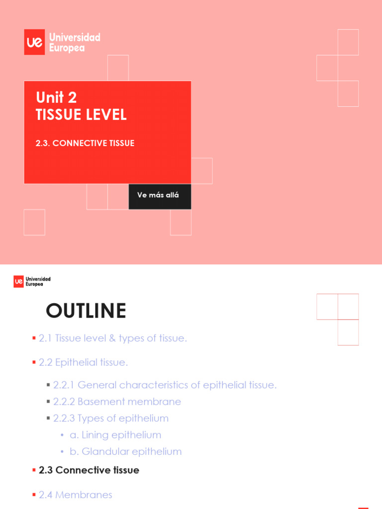 Unit 2 Tissue Level | PDF | Connective Tissue | Tissue (Biology)