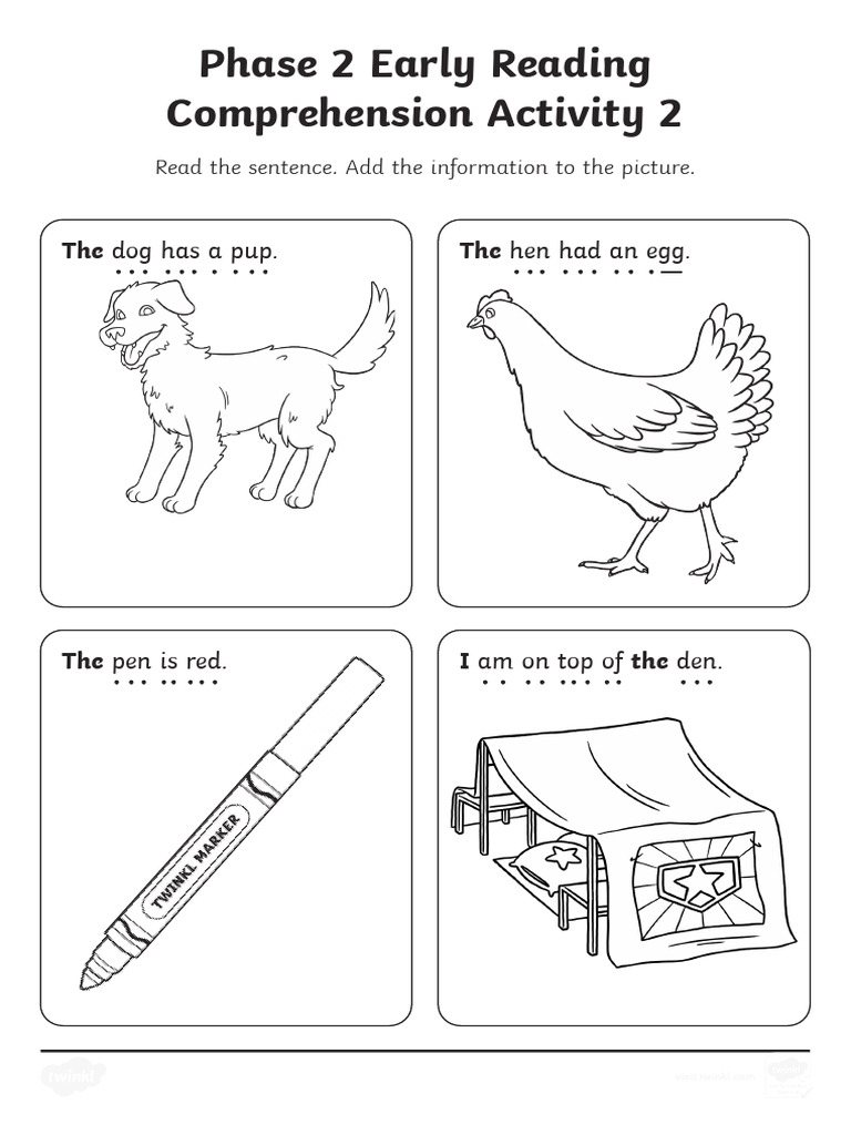 Phase 2 Reading Comprehension Activity | PDF