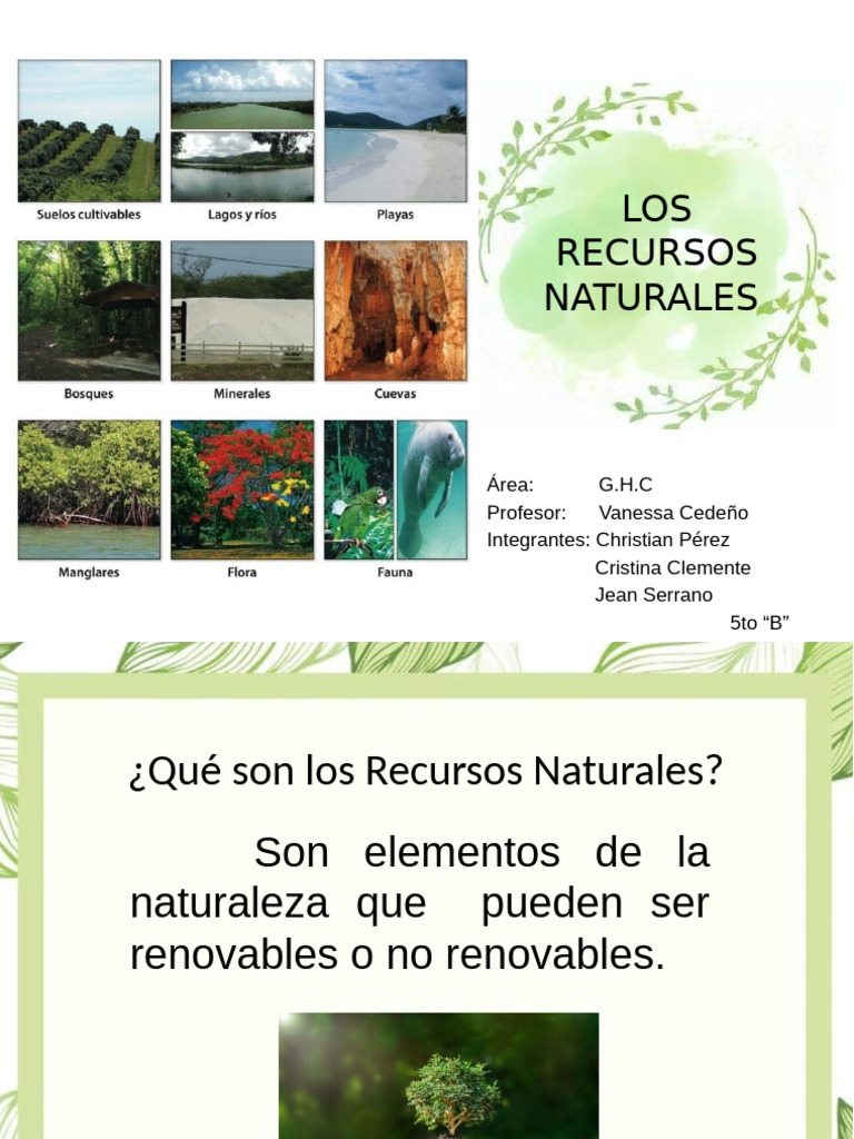 Recursos Naturales | PDF