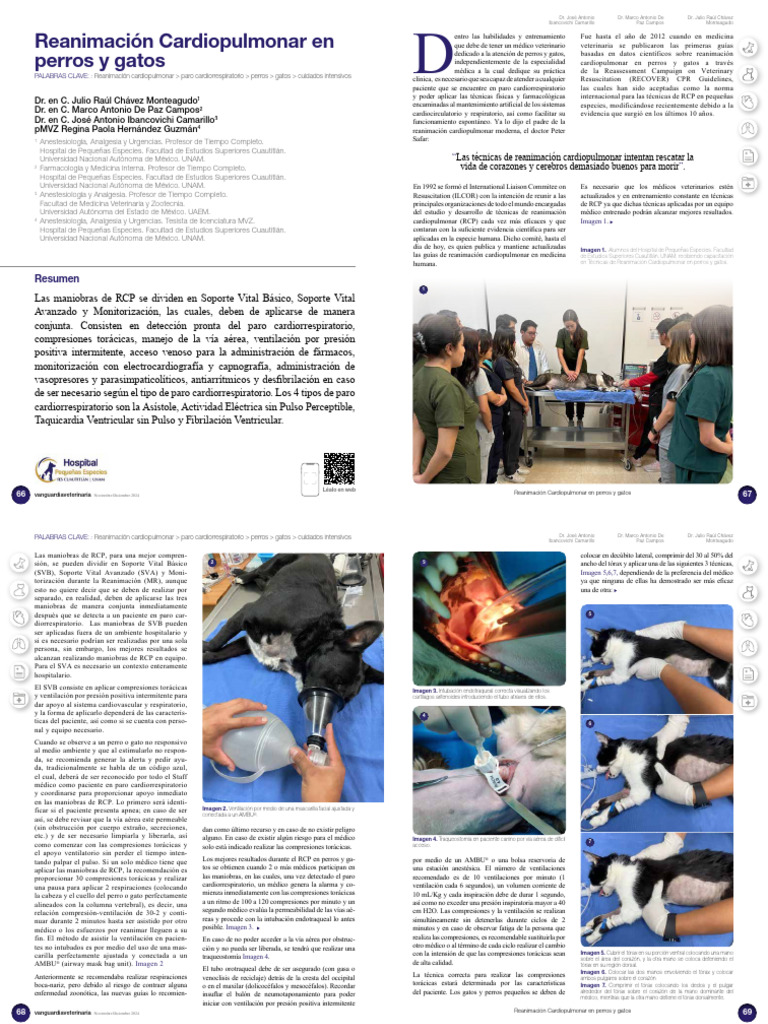 RCP Perros y Gatos | PDF | Reanimación cardiopulmonar | Paro cardíaco