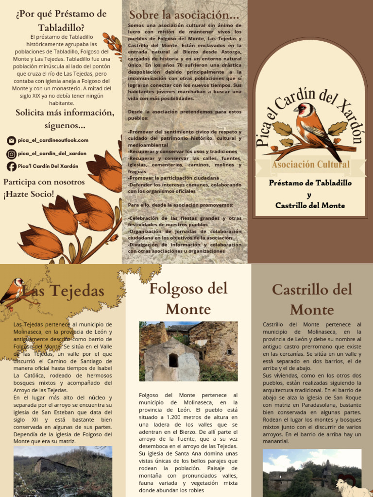 Triptico Final | PDF