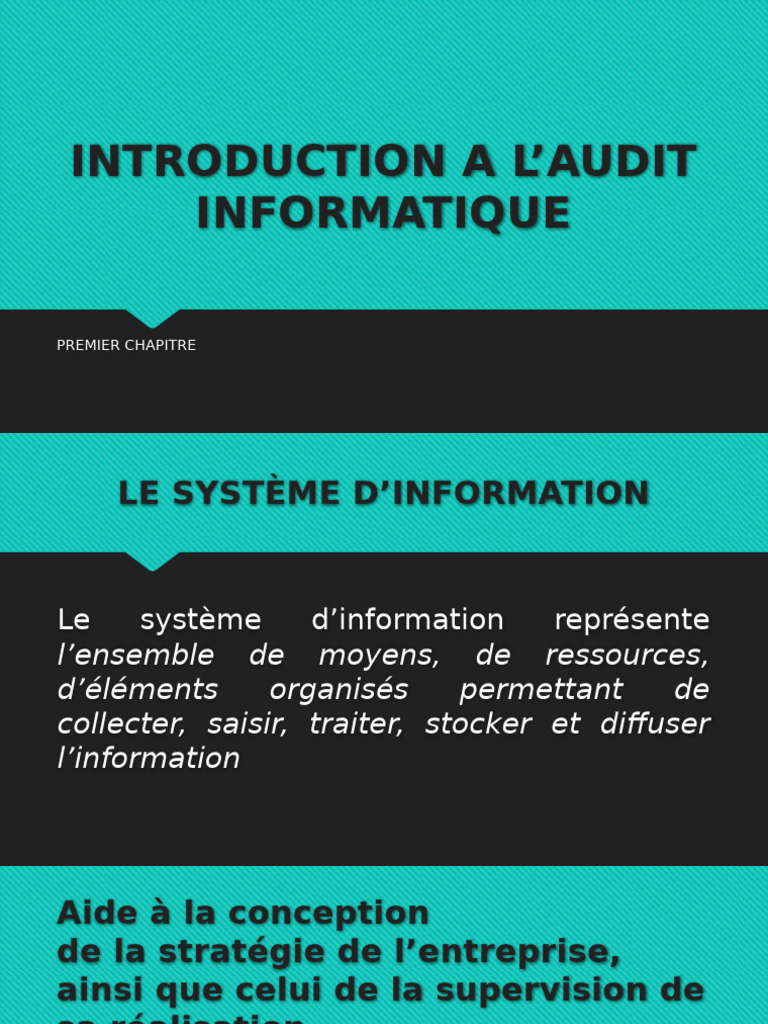 Introduction a l’Audit Informatique | PDF | Informatique | Sciences de l'information