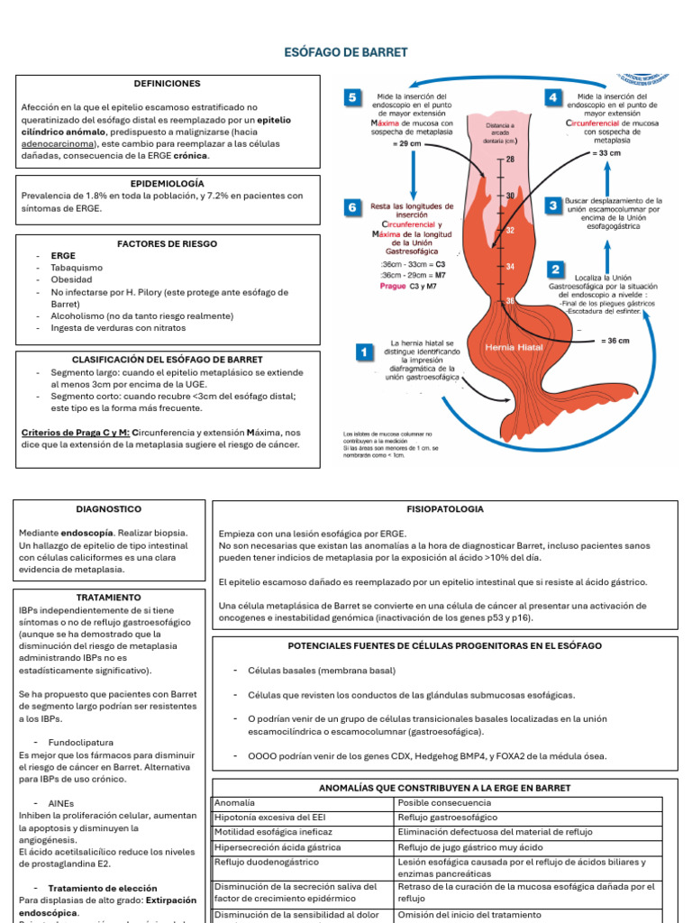 Esófago de Barret - Gastroenterología | PDF | La enfermedad por reflujo ...