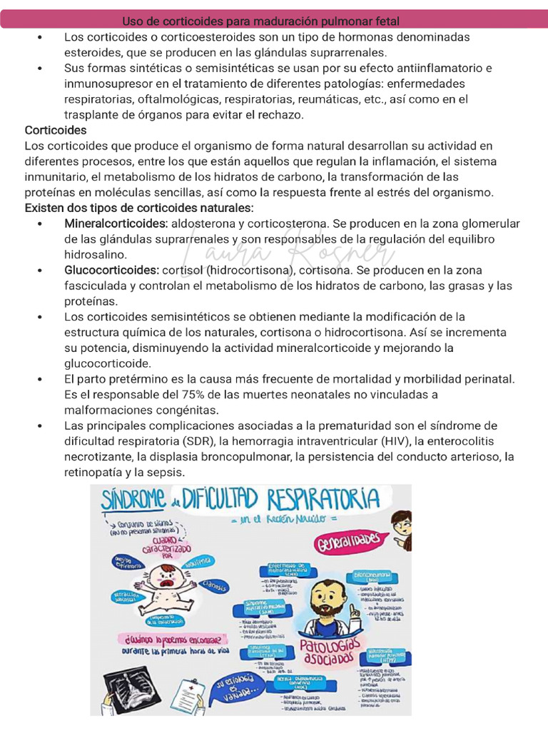 Laura Rosner: Profile Overview | PDF