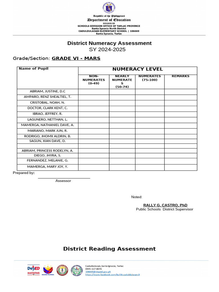 Numeracy-and-Literacy-Template (1) | PDF