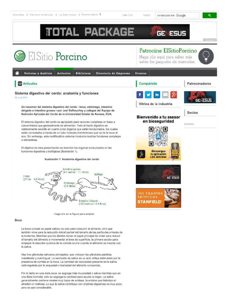 Sistema Digestivo Del Cerdo - Anatomía y Funciones - El Sitio Porcino | PDF