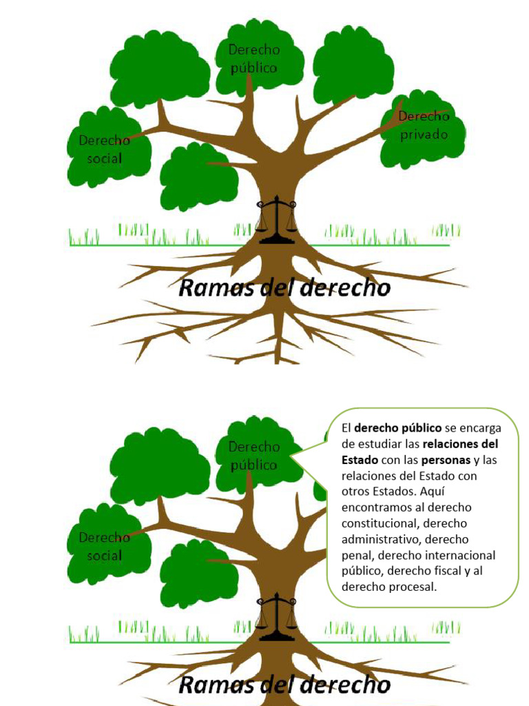 Ramas Del Derecho - U1 | PDF
