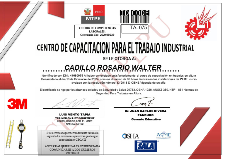 Pert Trabajo en Altura Cadillo Rosario Walter 13-12-2024 21-12-2024 | PDF