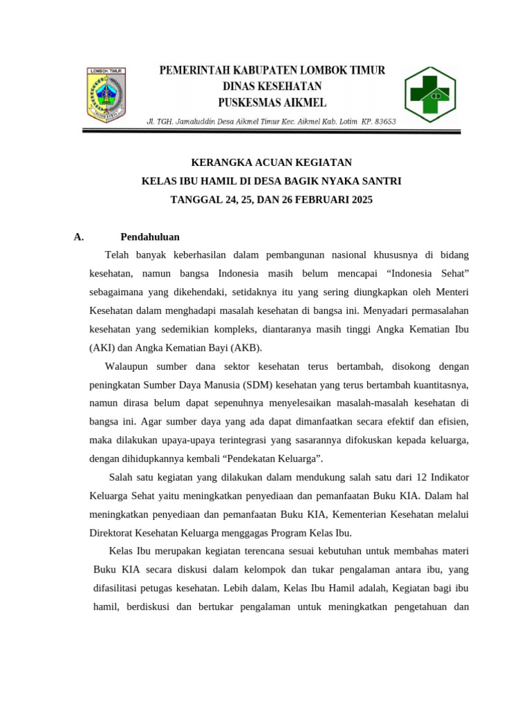 Contoh TOR Kelas Ibu Hamil 2024 | PDF
