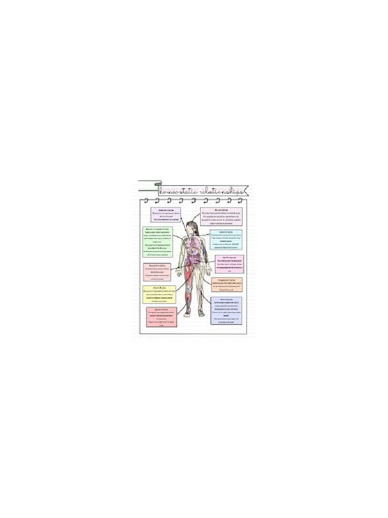 Cardiology Notes | PDF