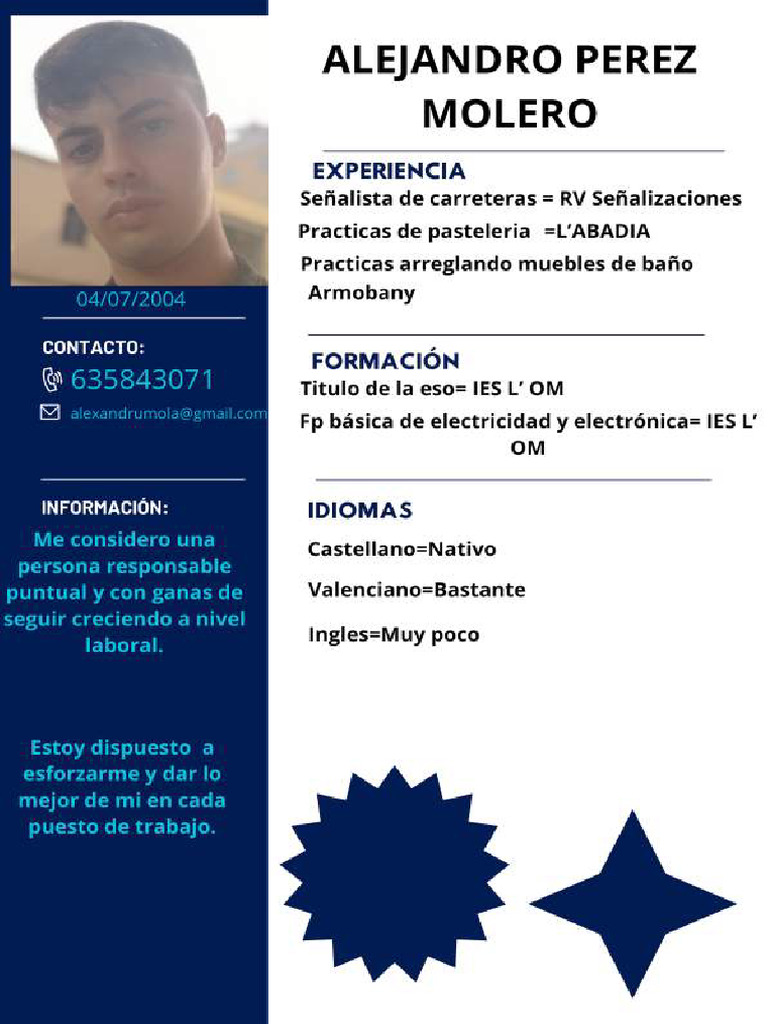 Curriculum Alejandro Perez Molero Compressed | PDF