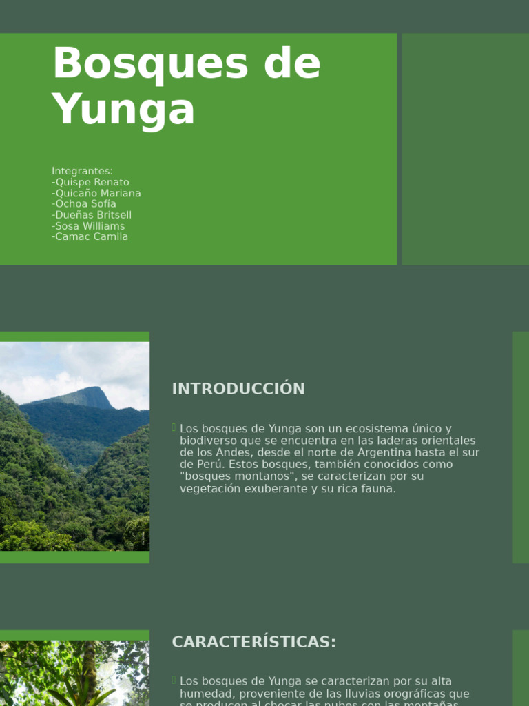 Fauna y Flora de los Bosques de Yunga | PDF