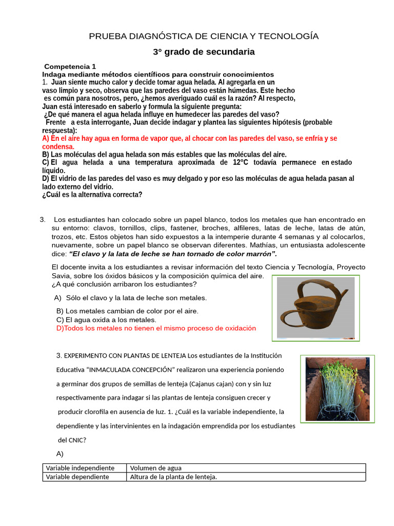 PRUEBA DIAGNÓSTICA DE CIENCIA Y TECNOLOGÍA 3ro. 2025 | PDF | Agua | Plantas