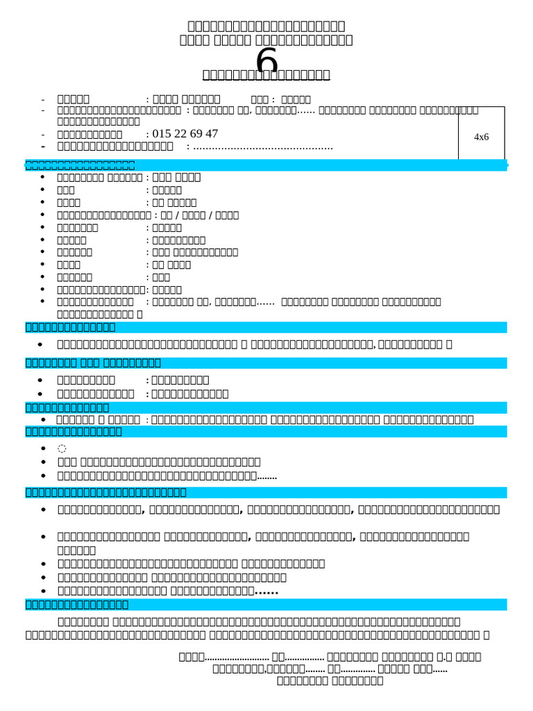 ហ៊ាប សុខហេង CV Khmer បំពេញទិន្នន័យ | PDF