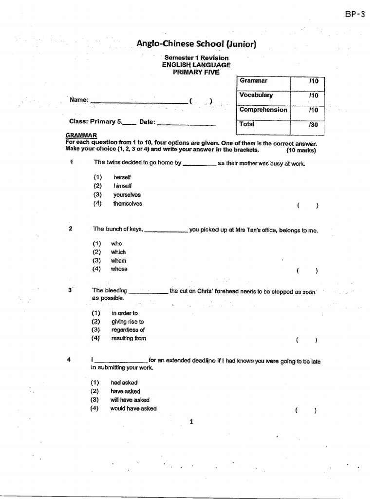 P5 English 2024 WA1 Acs | PDF