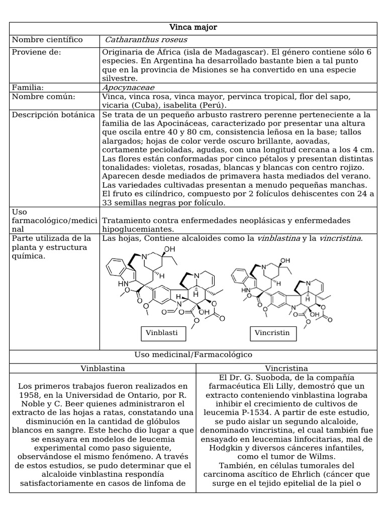 Vinca major: Usos y propiedades medicinales | PDF | Linfoma | Cáncer