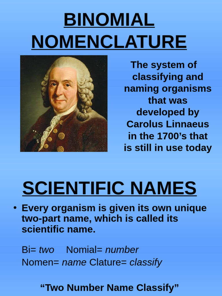 Binomial Nomenclature | PDF | Organisms | Biology