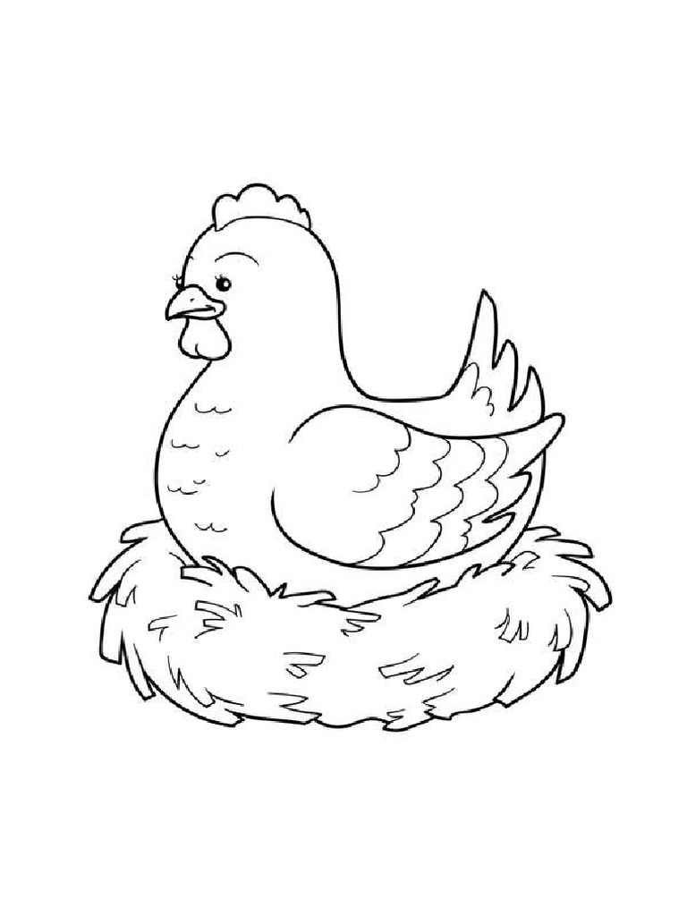 Gallina DFN | PDF