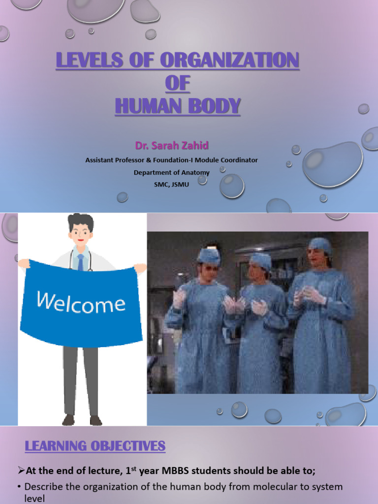 Levels of Organization of Human Body | PDF