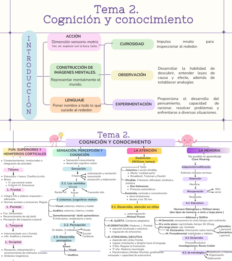 Esquema Tema 2. | PDF | Las emociones | Memoria