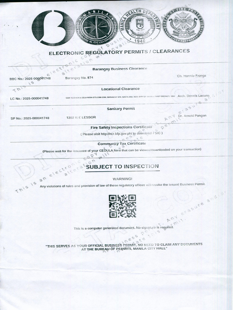 Business Permit 2025 | PDF