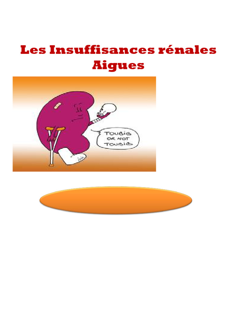 Insuffisance Rénale Aiguë : Diagnostic et Traitement | PDF ...
