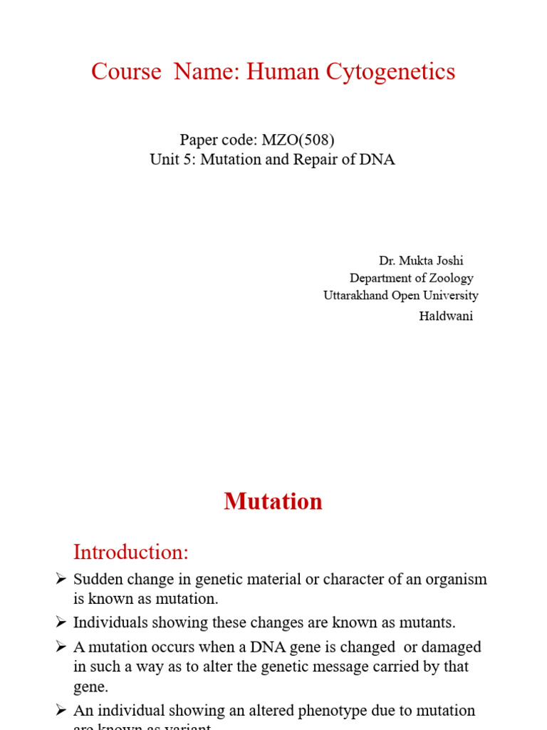 Mutation & DNA Repair PDF Slide | PDF | Dna Repair | Mutation